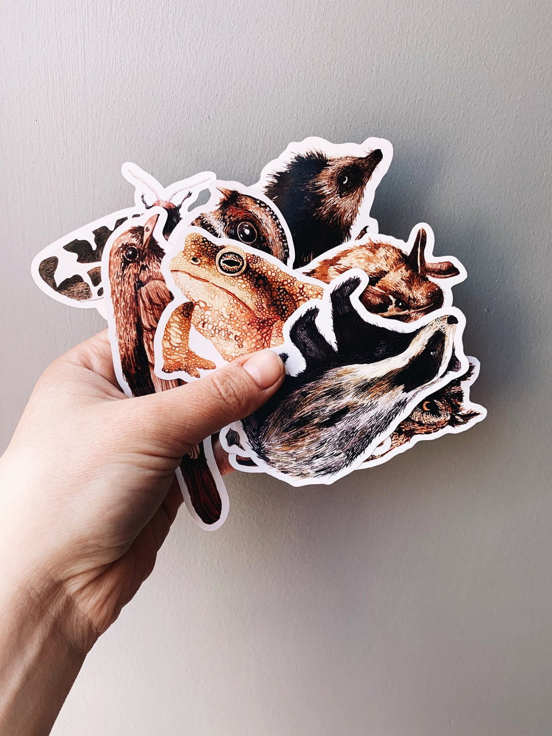 Nocturnal Animals Vinyl Stickers Night Animals Stickers iPad Stickers ...