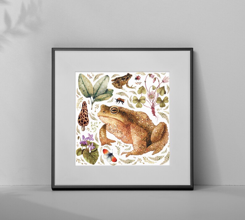 Toad Art Print Illustrated Toad Print Frog Print With - Etsy