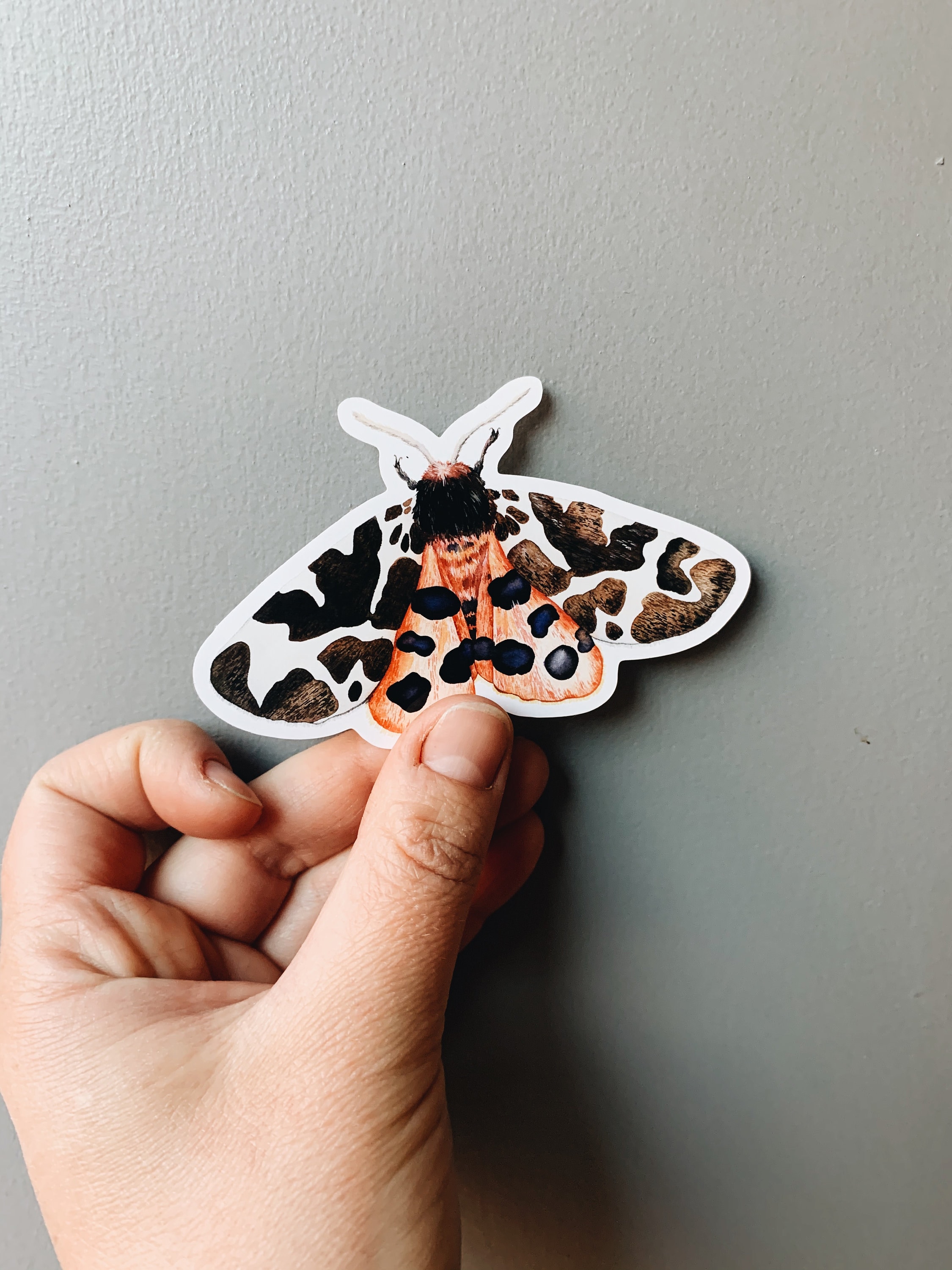 Nocturnal Animals Vinyl Stickers Night Animals Stickers | Etsy UK