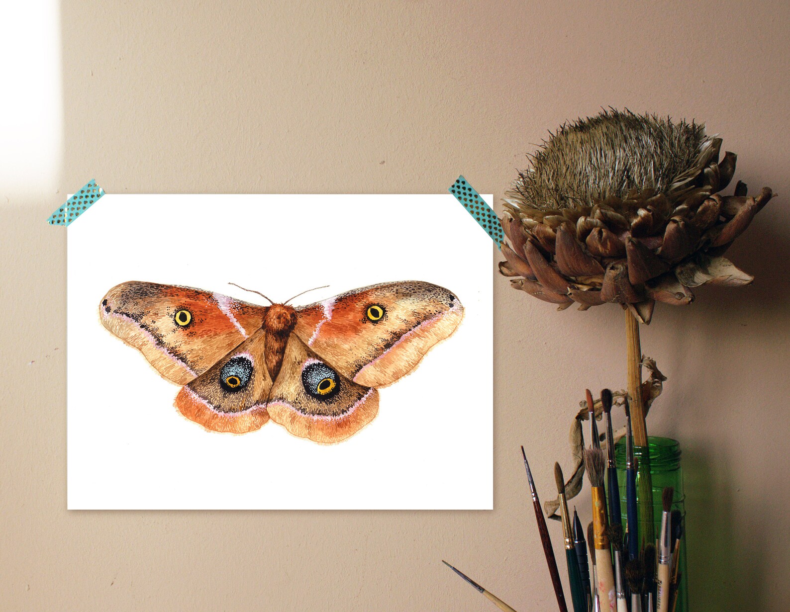 Polyphemus Moth Print Antheraea Polyphemus Illustration - Etsy