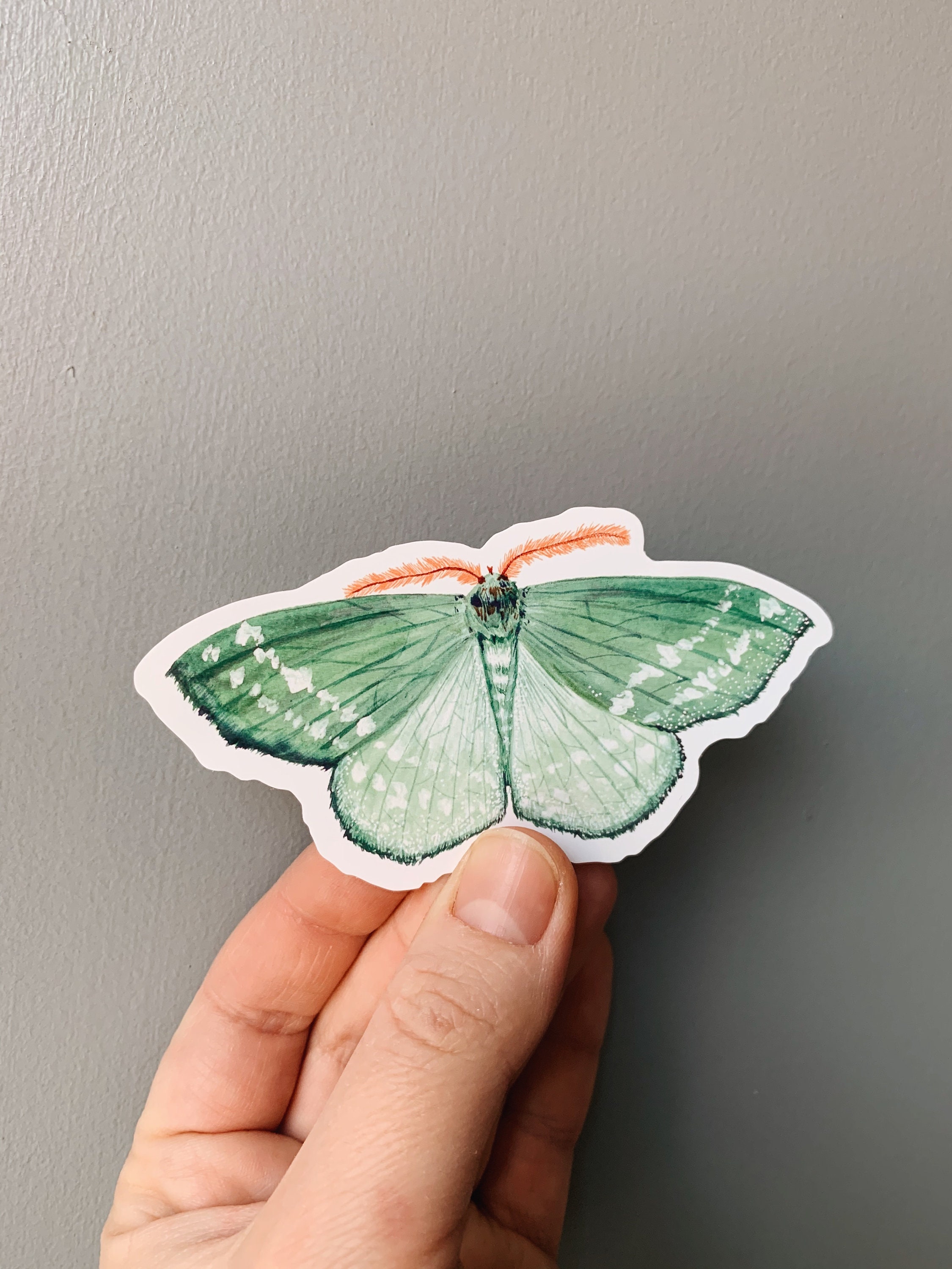 Nature sticker pack Waterproof stickers iPad stickers Moth vinyl ...