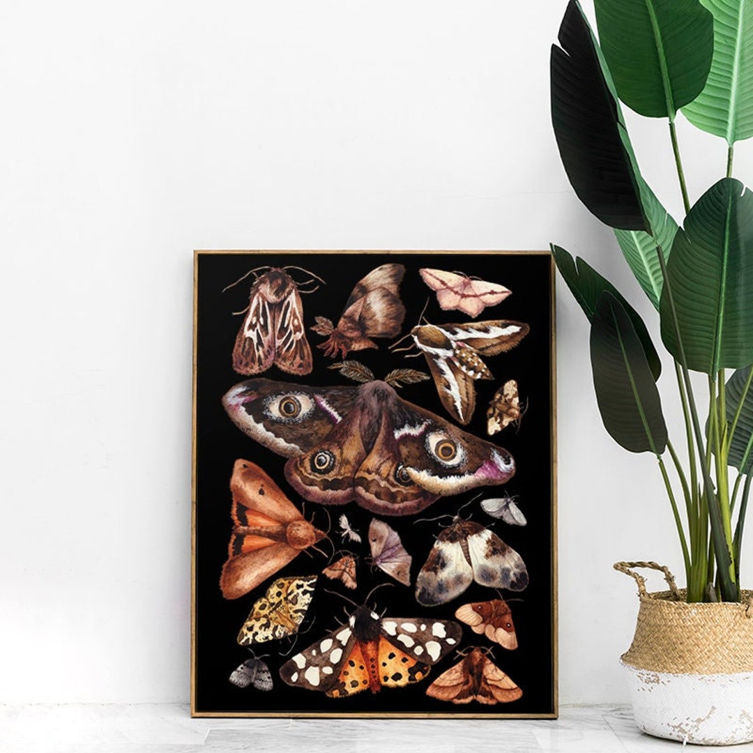 British Moths Print - Moths Art - Moths Chart Room Decor - Moth ...