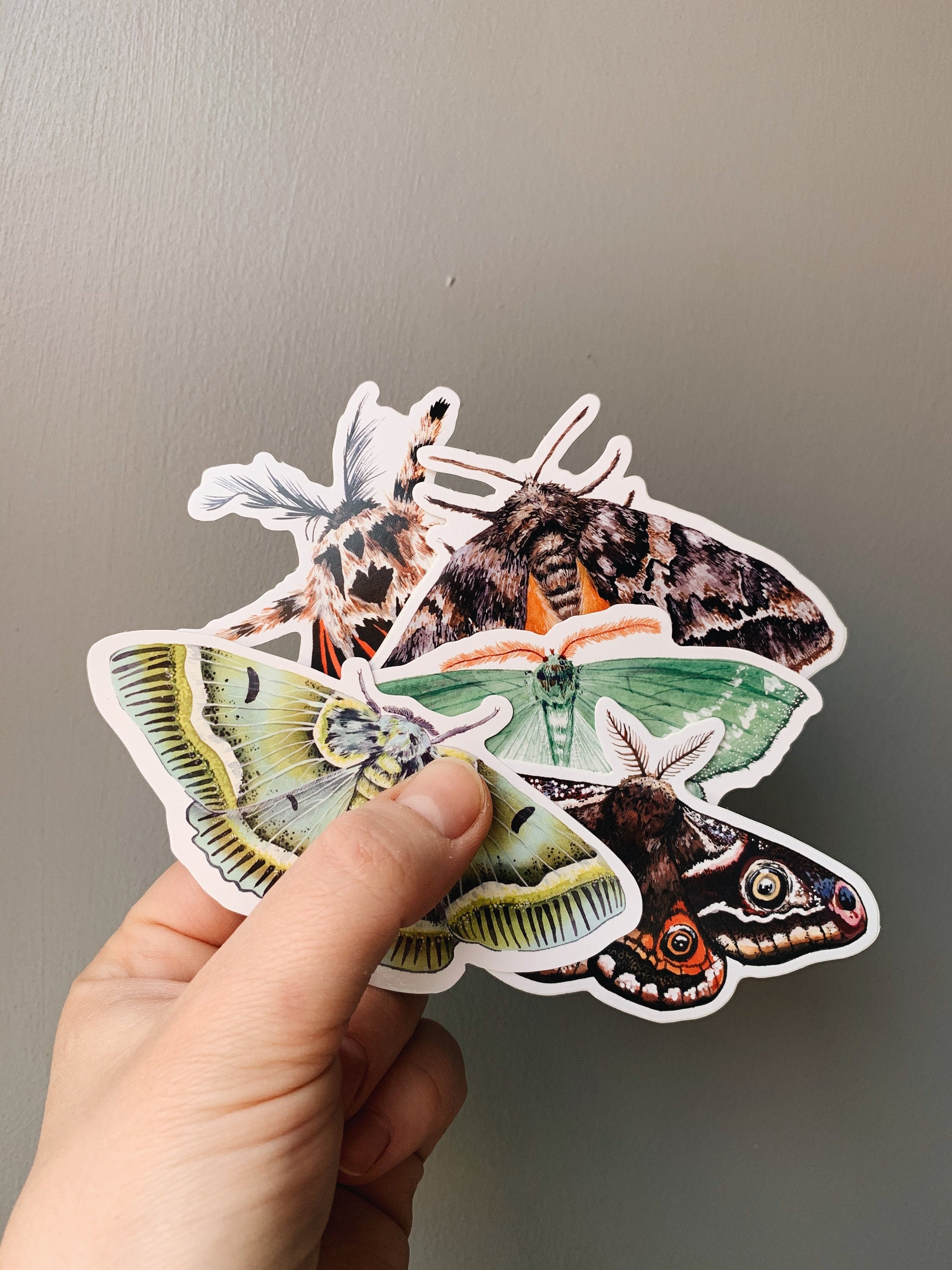 Nature sticker pack Waterproof stickers iPad stickers Moth vinyl ...