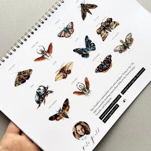 2025 Calendar 2025 Wall Calendar 2025 Insects Calendar Illustrated 12 ...