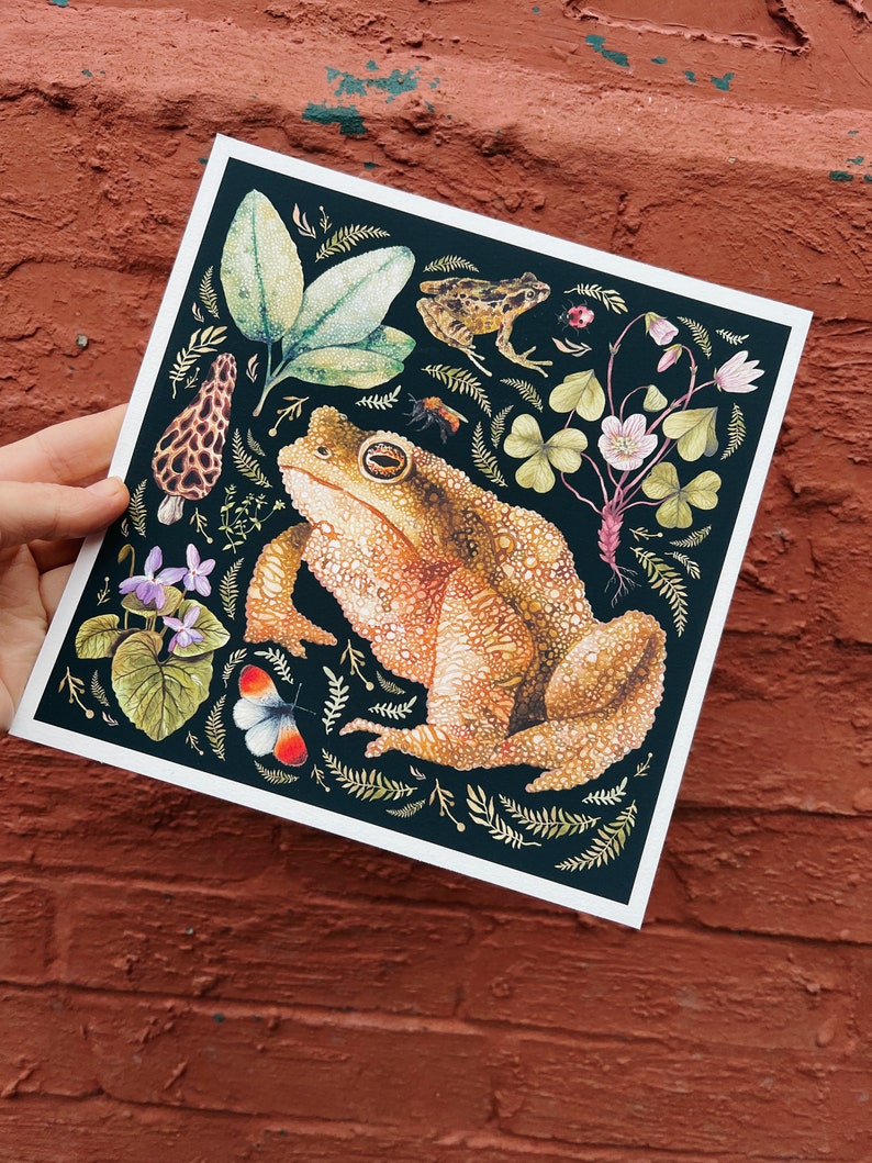 Toad Art Print Illustrated Toad Print Frog Print With - Etsy