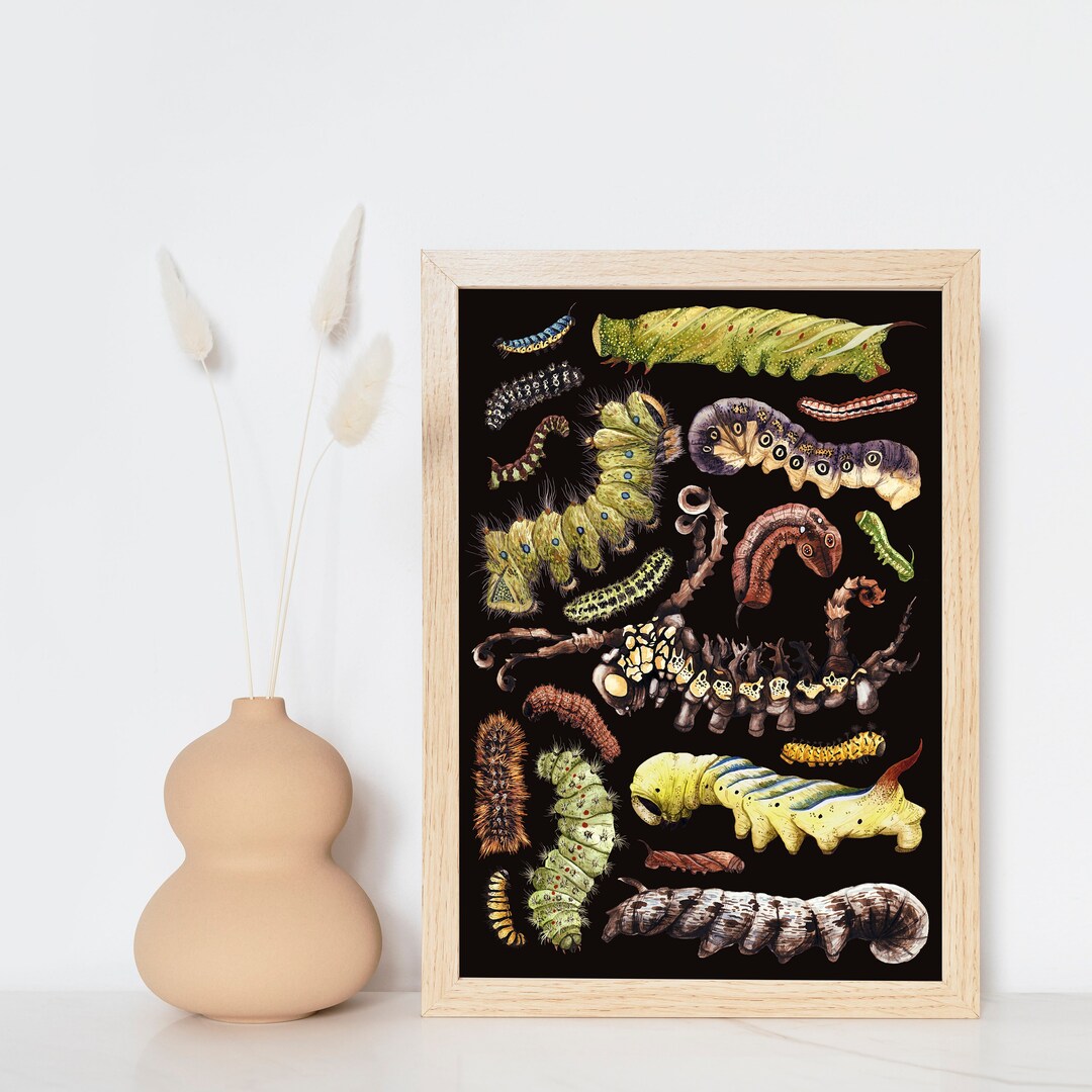 Caterpillars Print Bugs Art Bugs Print Kids Room Décor Insect Print A4 ...