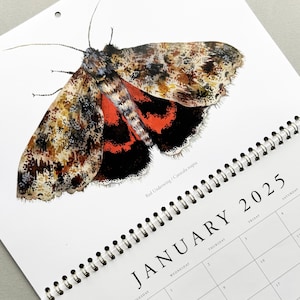 2025 Calendar 2025 Wall Calendar 2025 Insects Calendar Illustrated 12 ...