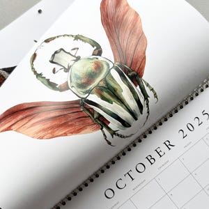 2025 Calendar 2025 Wall Calendar 2025 Insects Calendar Illustrated 12 ...