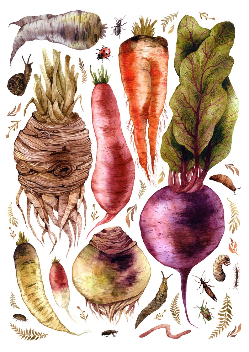 Root Vegetable Print Summer Garden Print Vegetable Art - Etsy UK