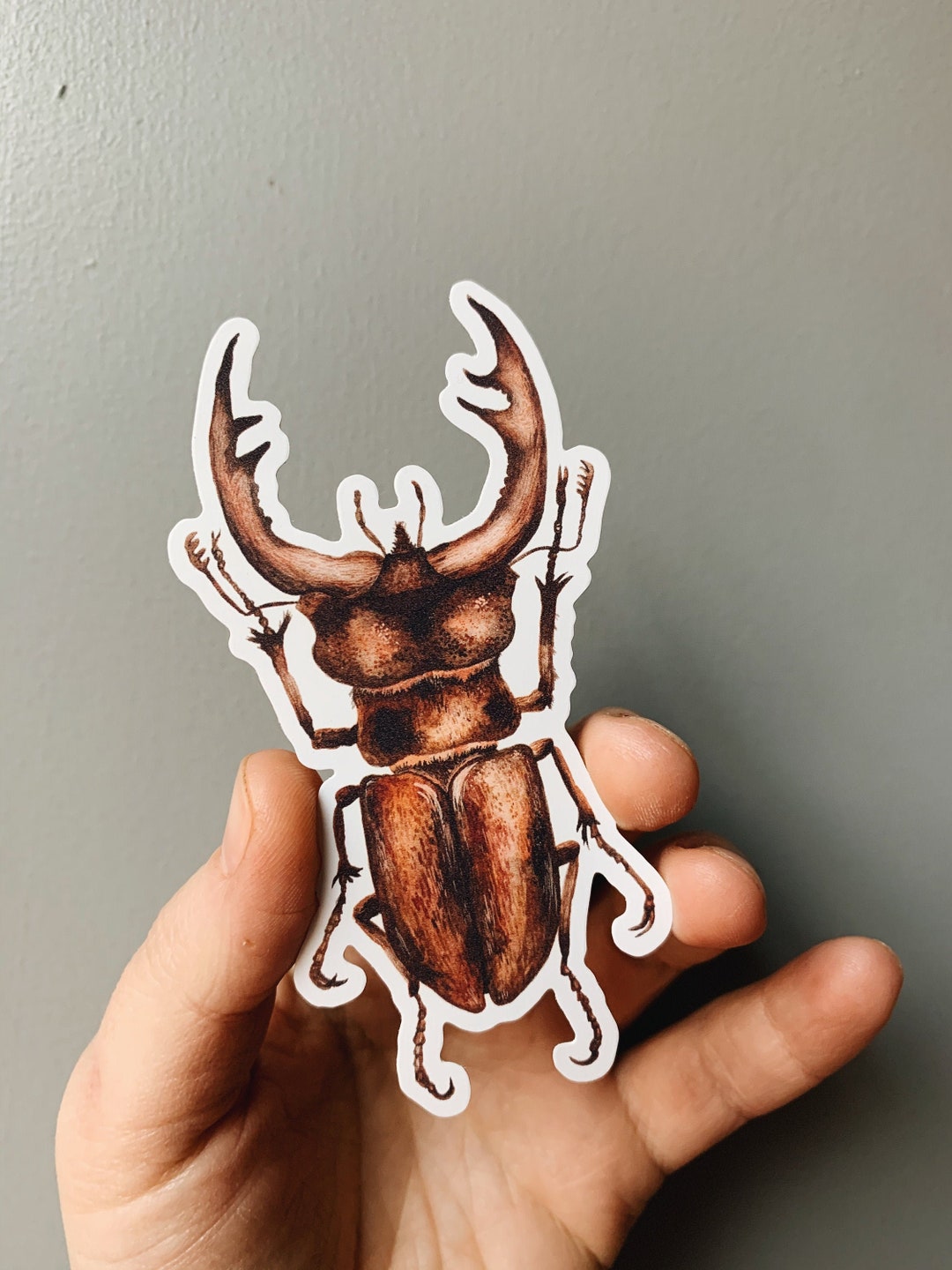 Stag Beetle Vinyl Sticker Bug Sticker iPad Beetle Sticker - Etsy