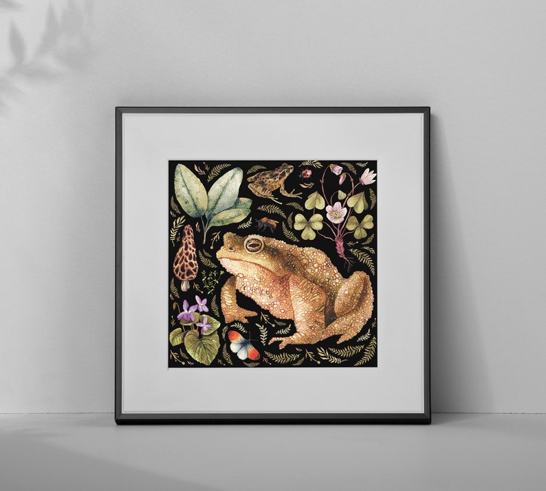 Toad Art Print Illustrated Toad Print Frog Print With - Etsy