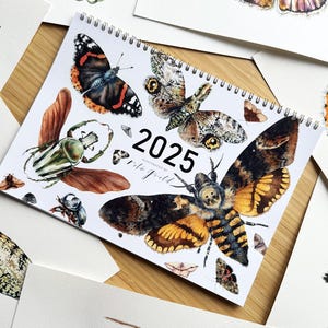 2025 Calendar 2025 Wall Calendar 2025 Insects Calendar Illustrated 12 ...