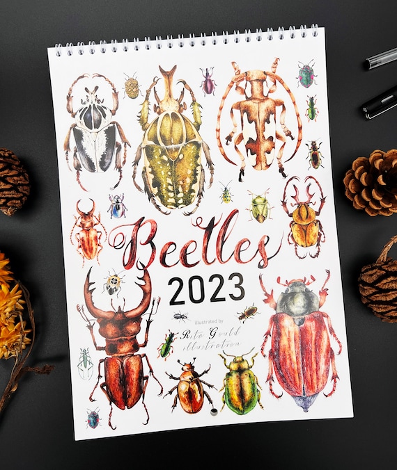 2023 Wall Calendar Beetles A4 Calendar Illustrated Art - Etsy