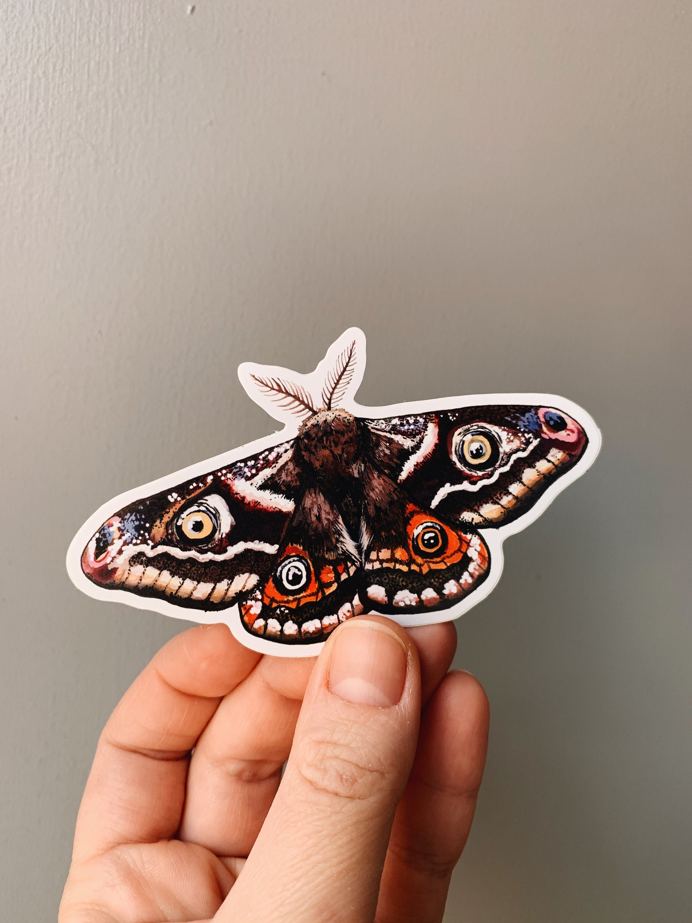 Nature sticker pack Waterproof stickers iPad stickers Moth vinyl ...