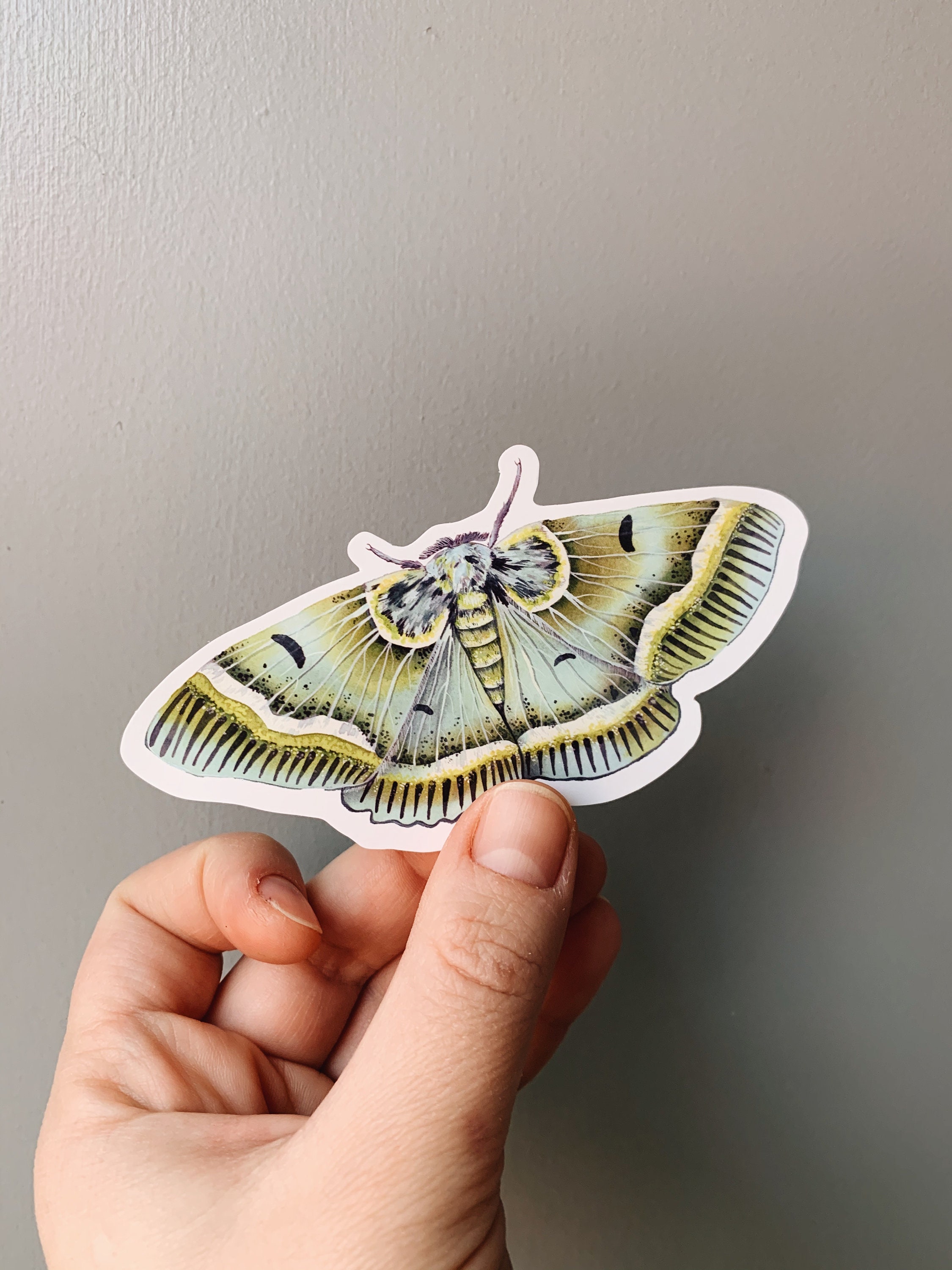 Nature sticker pack Waterproof stickers iPad stickers Moth vinyl ...