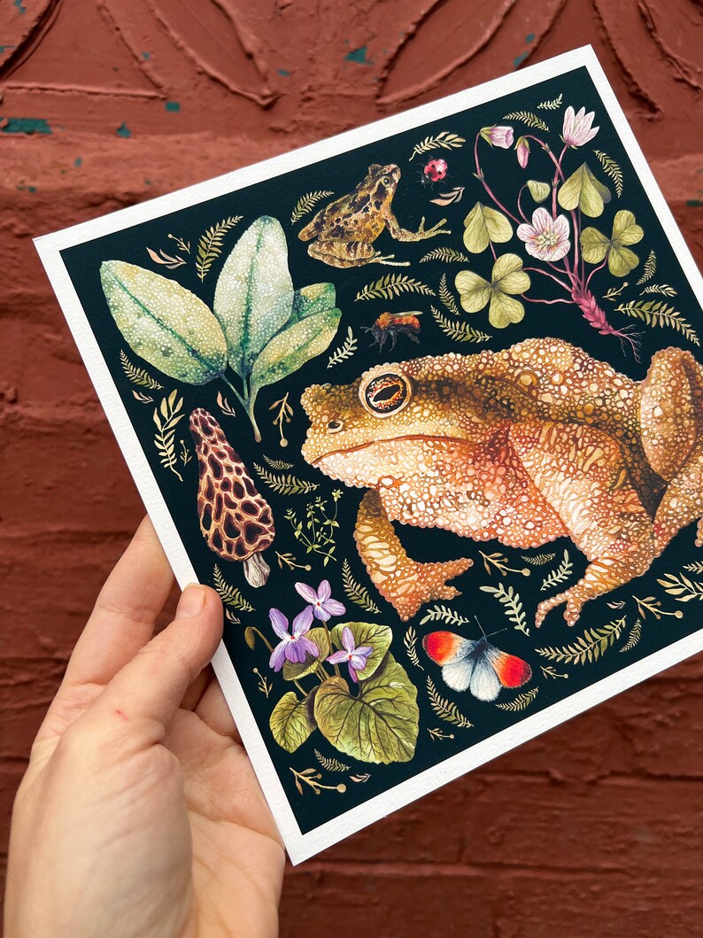 Toad Art Print Illustrated Toad Print Frog Print With - Etsy