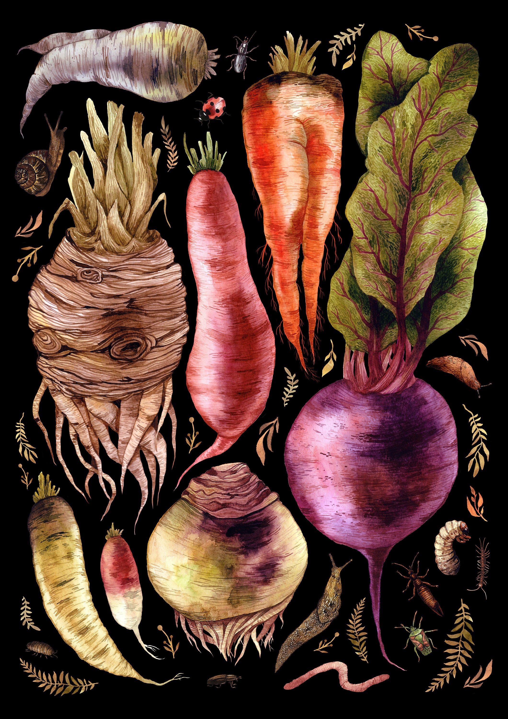Root Vegetable Print Summer Garden Print Vegetable Art - Etsy UK