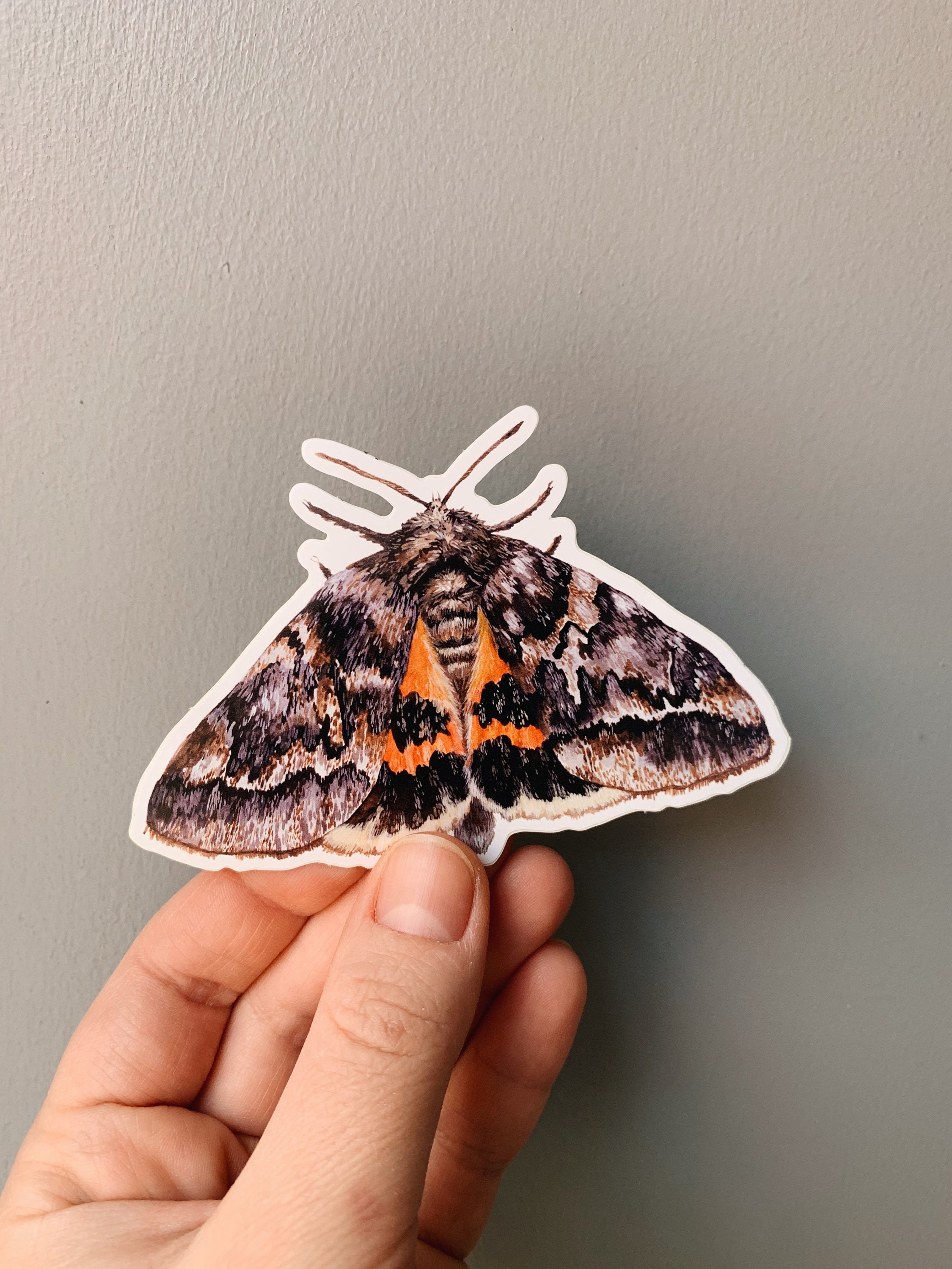 Nature sticker pack Waterproof stickers iPad stickers Moth vinyl ...