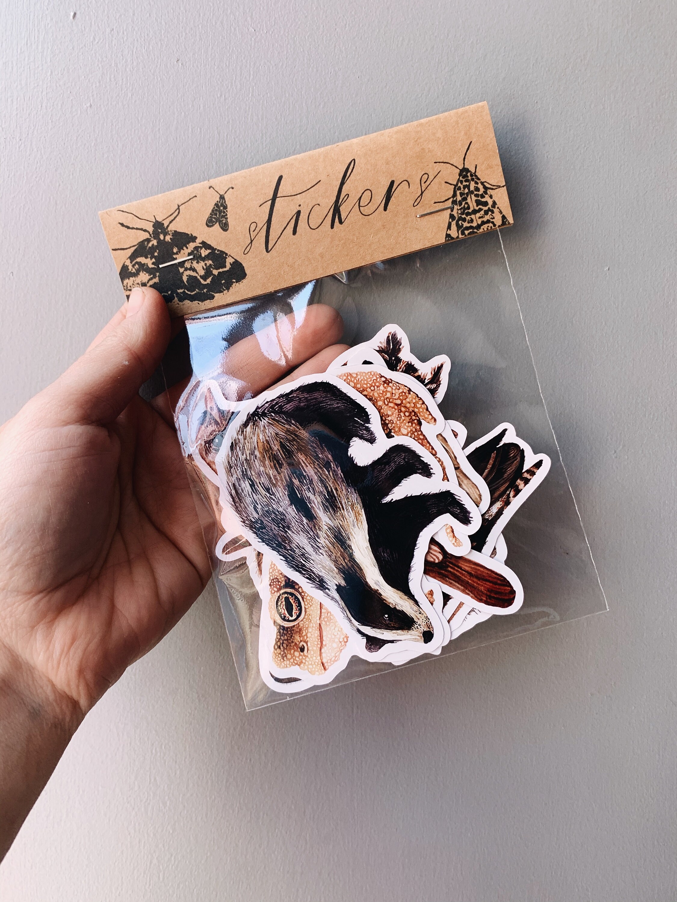 Nocturnal Animals Vinyl Stickers Night Animals Stickers - Etsy UK