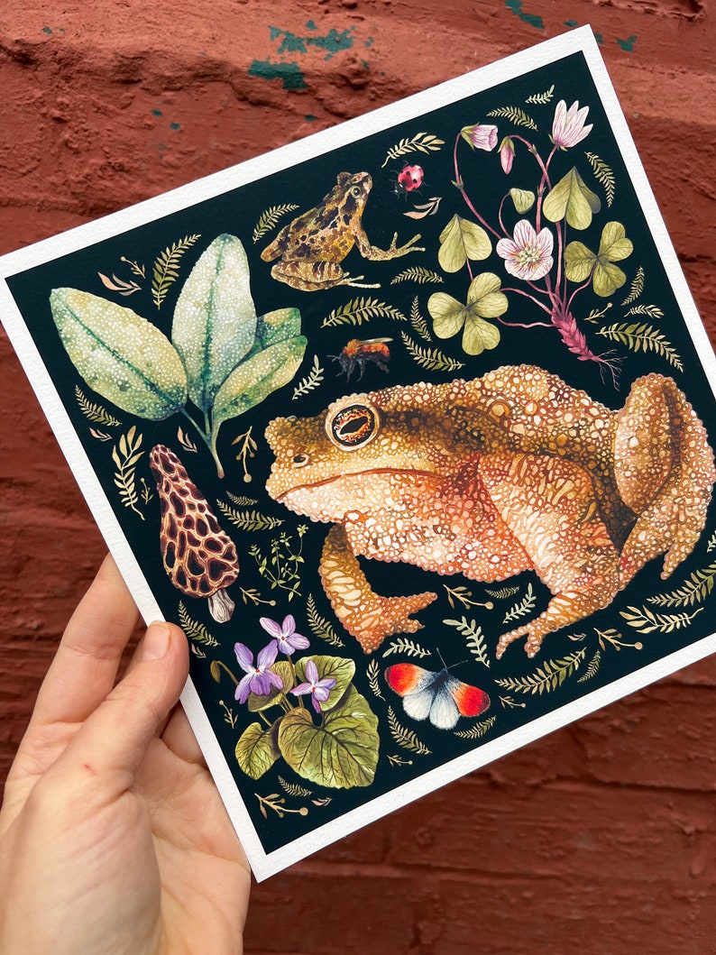 Toad Art Print Illustrated Toad Print Frog Print With - Etsy
