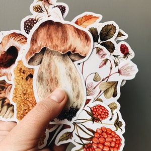 Wild Foods Sticker Set 1 - Wild Foods Stickers - Wildfood Sticker Set ...