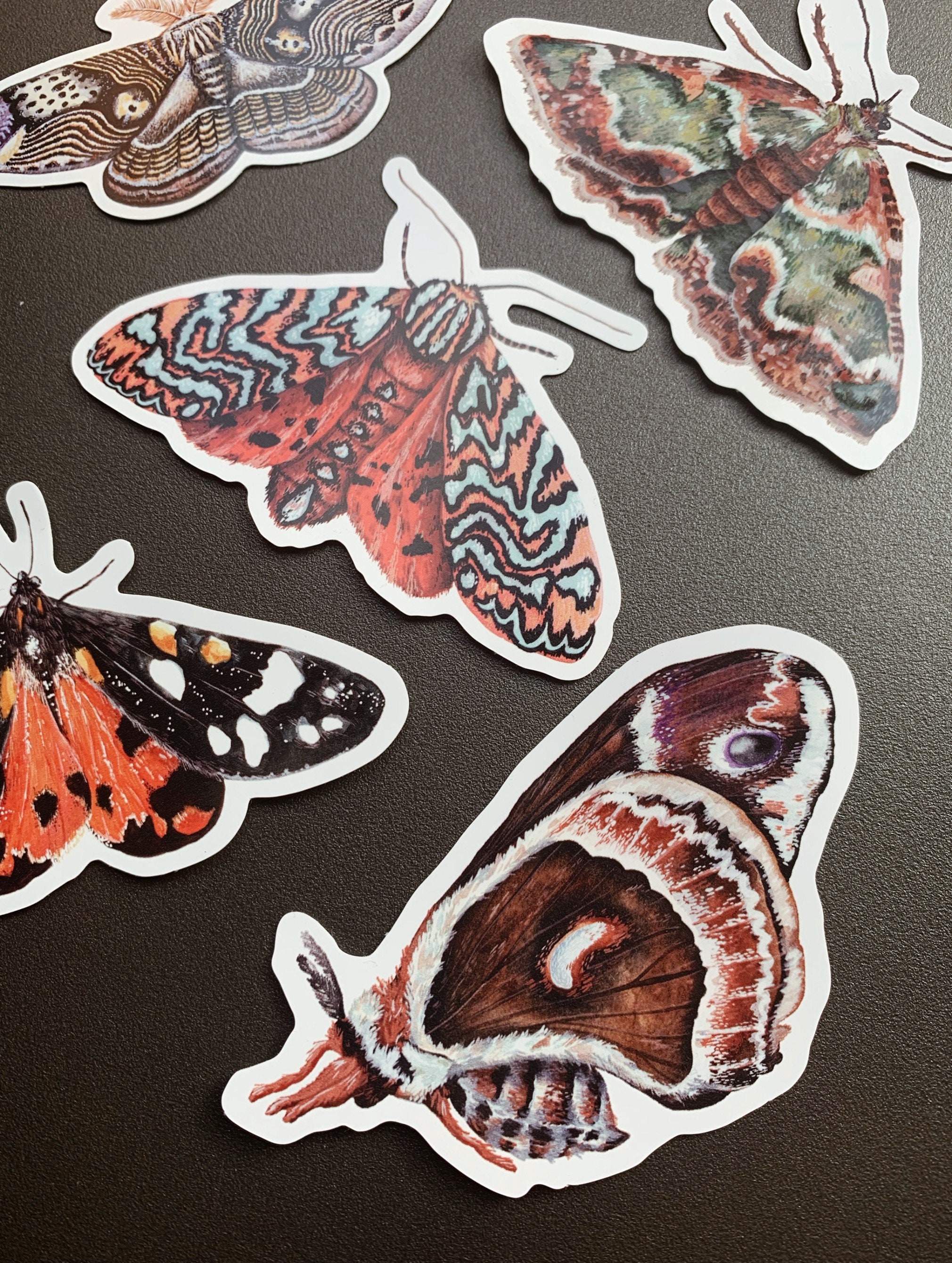 Nature sticker pack Waterproof stickers iPad stickers Moth vinyl ...