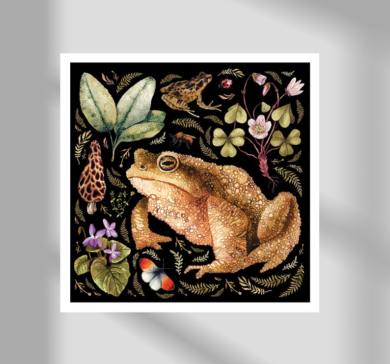 Toad Art Print Illustrated Toad Print Frog Print With - Etsy