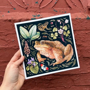 Toad Art Print - Illustrated Toad Print - Frog Print With Plants and ...