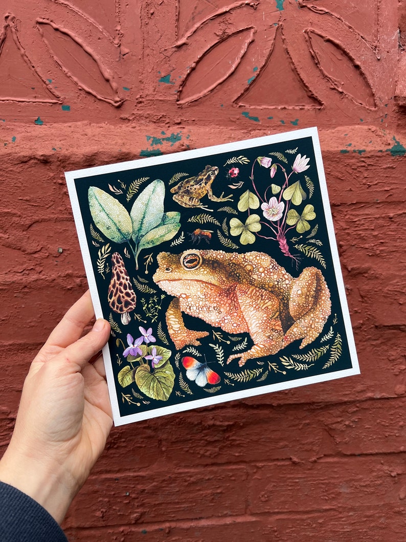 Toad Art Print Illustrated Toad Print Frog Print With - Etsy
