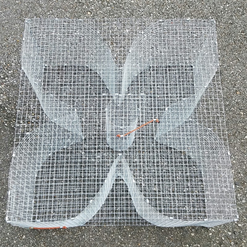 Net for Bait Fish - Etsy