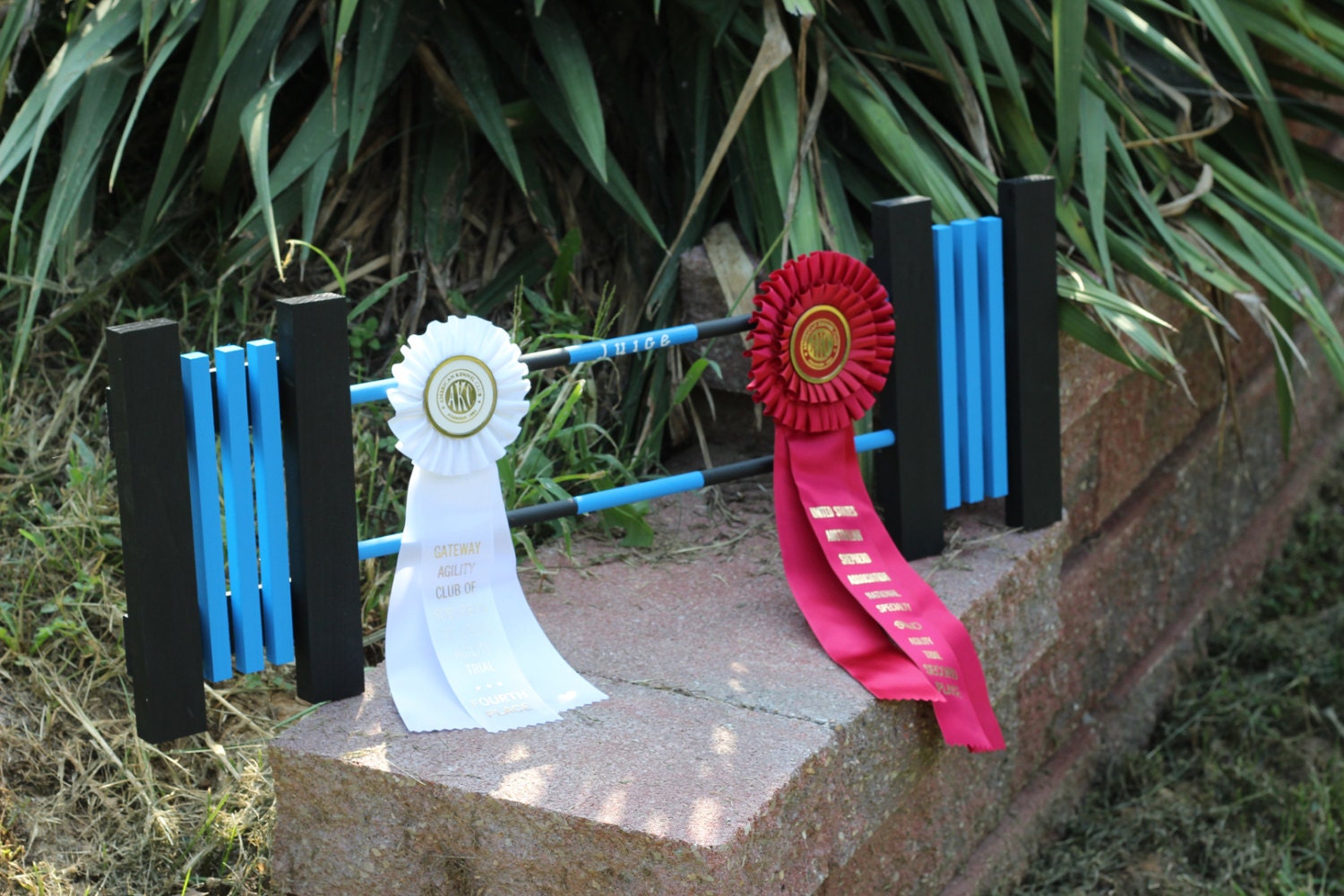 Miniature Jump Ribbon Display - Etsy