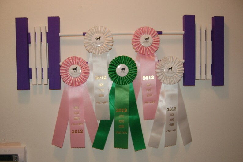 Miniature Jump Ribbon Display - Etsy