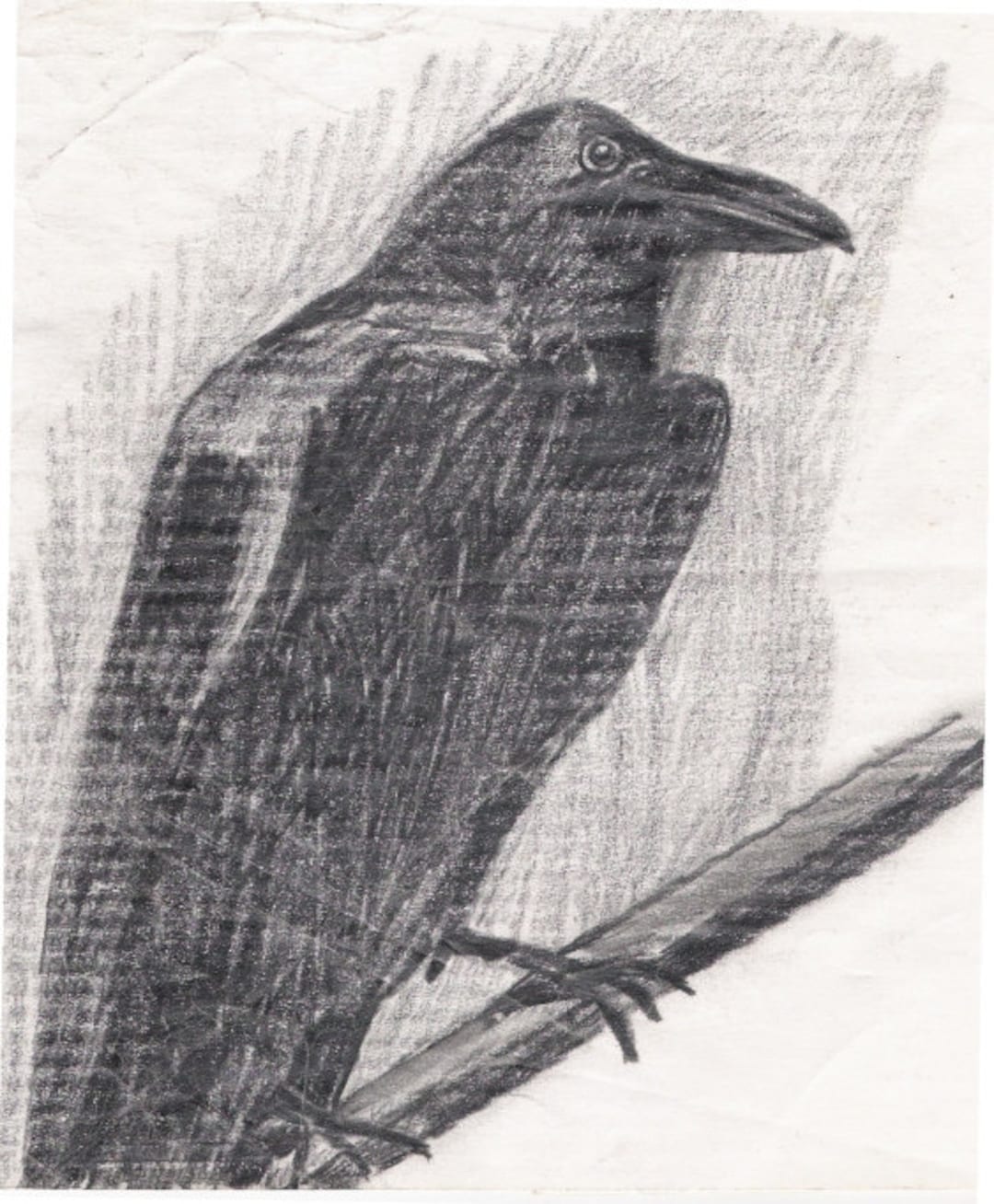 Crow Drawing -- Digital Prints/framed or Unframed - Etsy