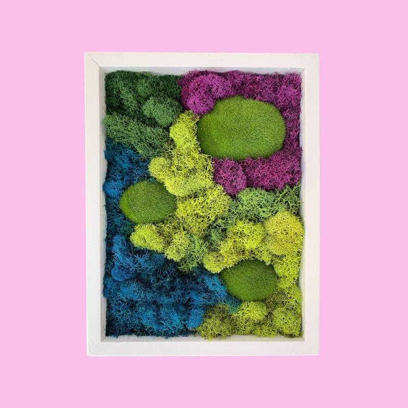 Moss Art - Etsy