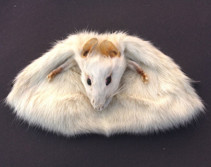 Rat Purse - Etsy