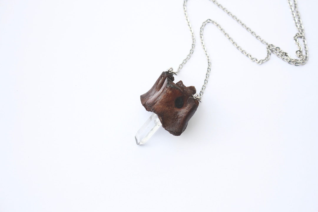 Sheep Vertebrae and Quartz Amulet - Etsy