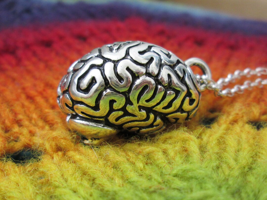 Brain on a Chain | Neurodiversity Pride | Big Silver Brain Pendant ...