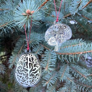 Human Brain Christmas Tree Ornament Anatomical Art Gift for Doctors ...