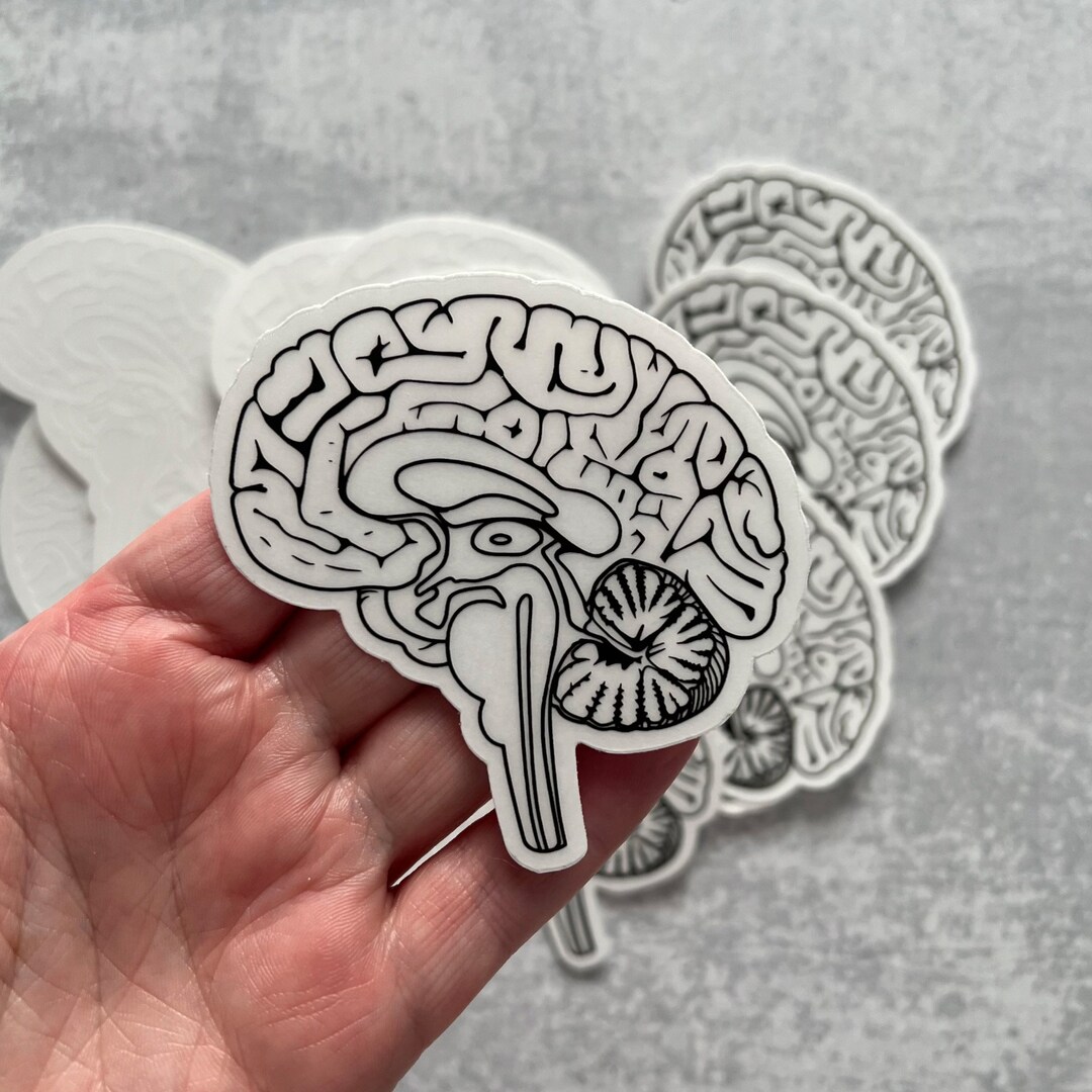 Anatomical Human Brain Sticker: Perfect Gift for Medical Professionals ...