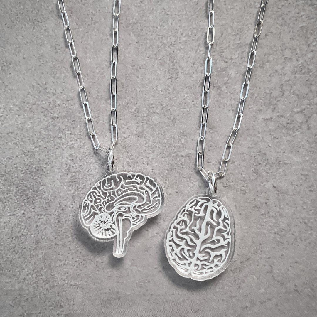 Human Brain Necklace Anatomical Human Brain Pendant Great for Doctors ...