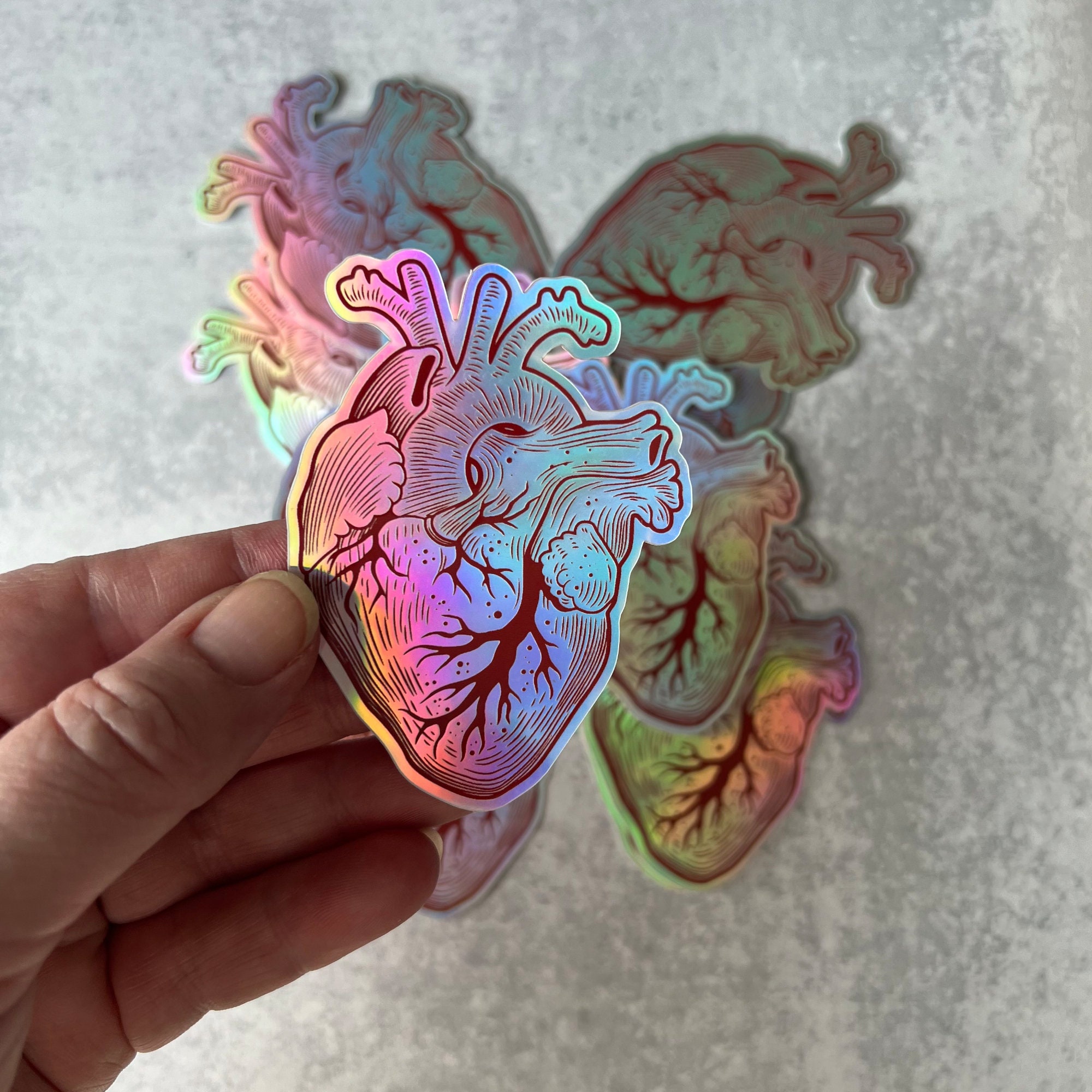 Anatomical Human Heart Holographic Sticker Great Doctors, Nurses, Med ...