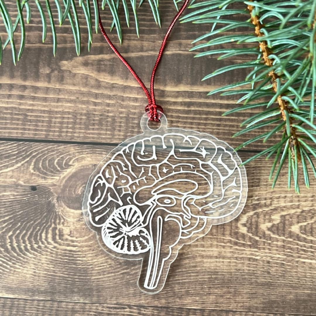 Human Brain Christmas Tree Ornament Anatomical Art Gift for Doctors ...