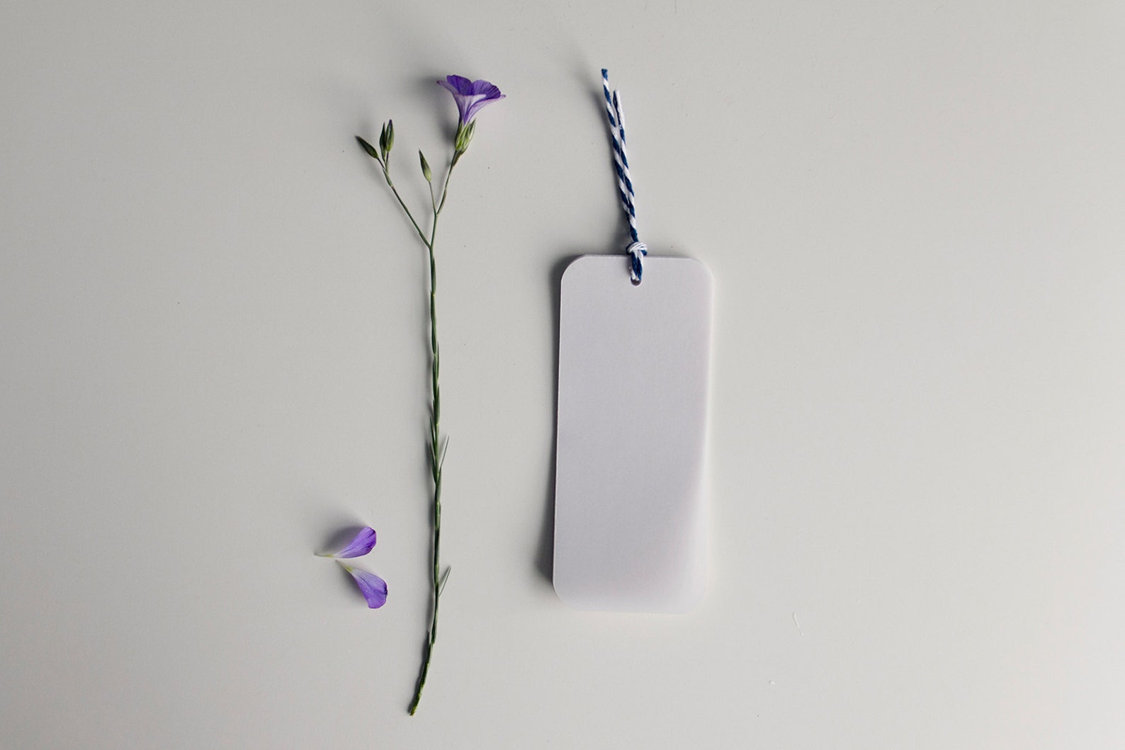 Vellum Tags Translucent Gift Tags Set of 10 - Etsy