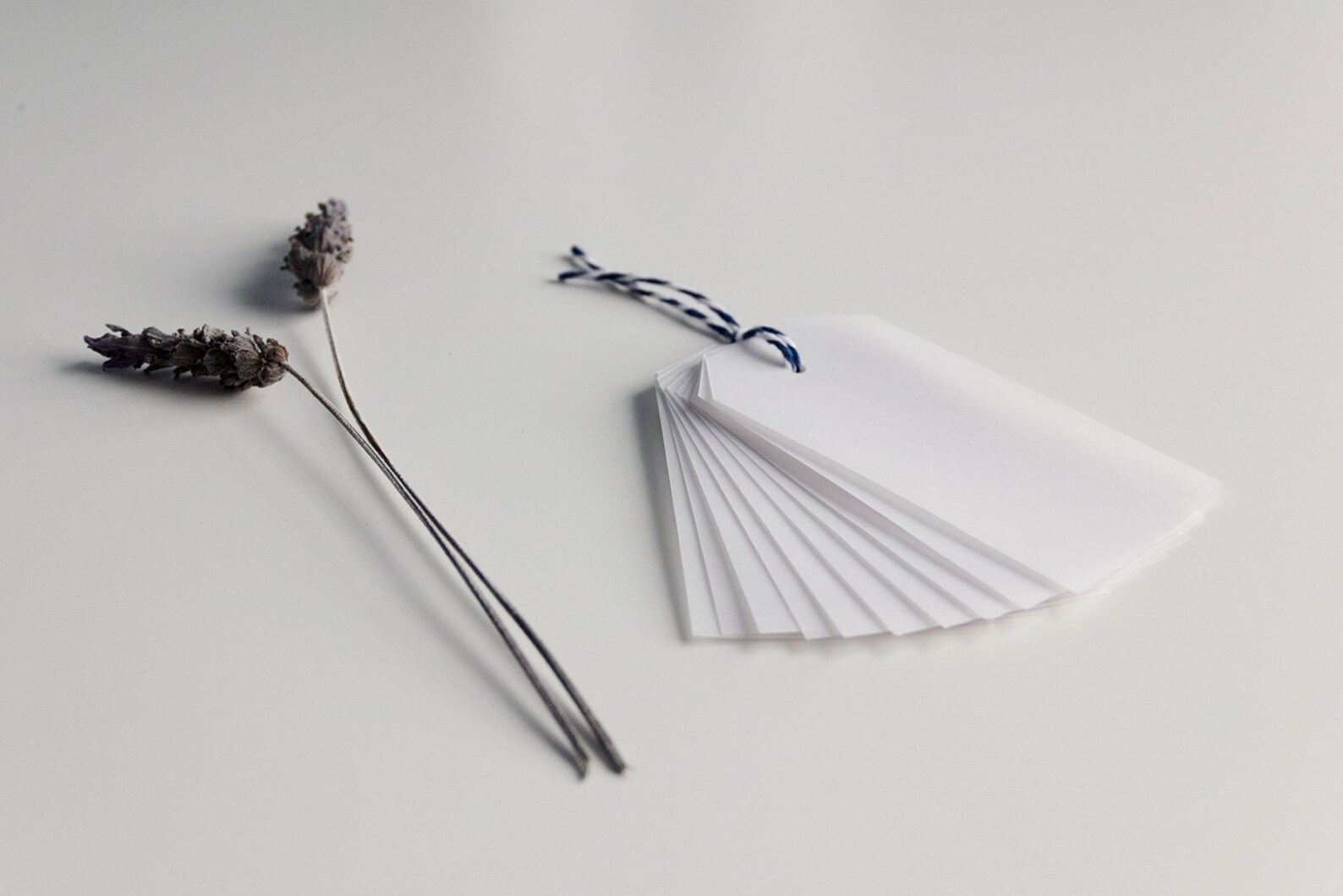 Vellum Tags - Translucent Gift Tags - Set of 10 - Etsy