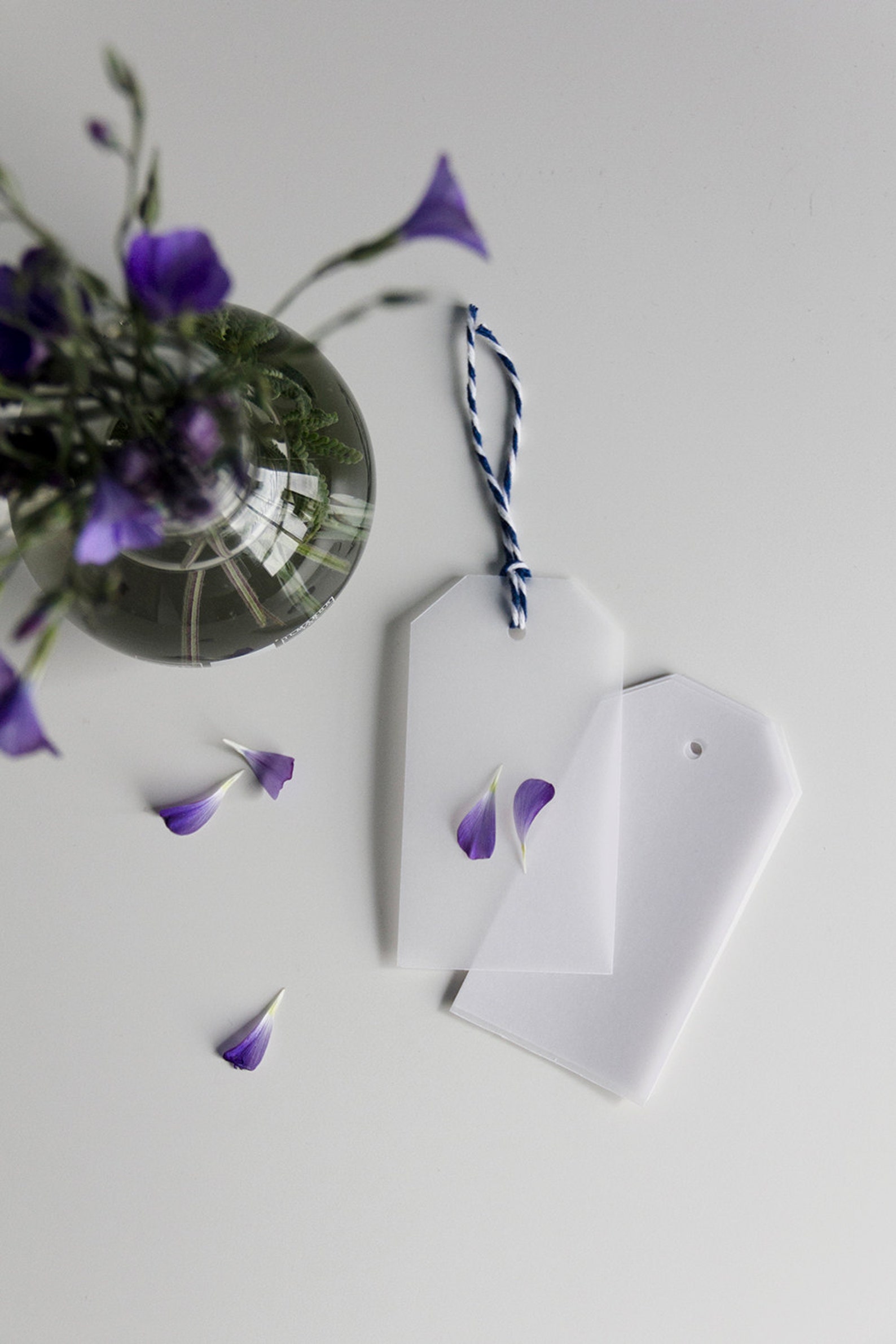 Vellum Tags - Translucent Gift Tags - Set of 10 - Etsy