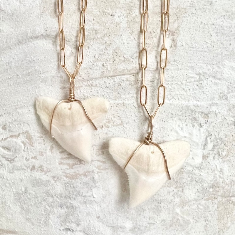 Shark Tooth Necklace - Etsy
