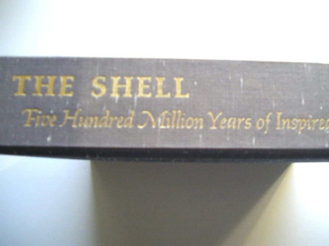 The Shell|vintage Collectible Coffee Table Book|shell Reference Book ...