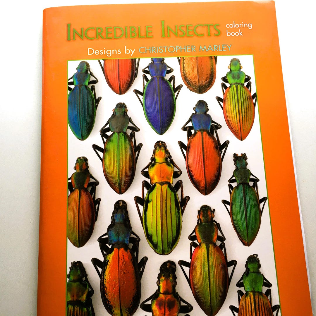 Insect Designs and Patterns Book, Butterflies and Beetles, Gift for ...