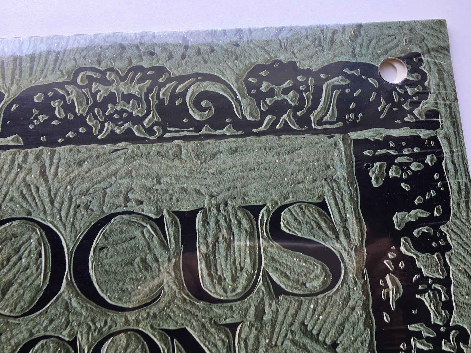 Focus Rock Bandvintage Record Albumvinyl Lpfocus Con | Etsy