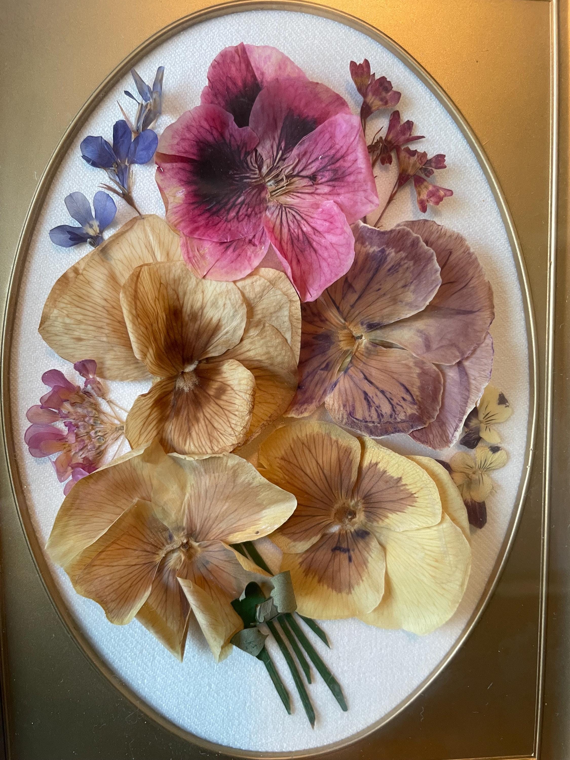 Vintage Dried Pansy Flower Arrangement in a Gold Metal Frame, Dried ...